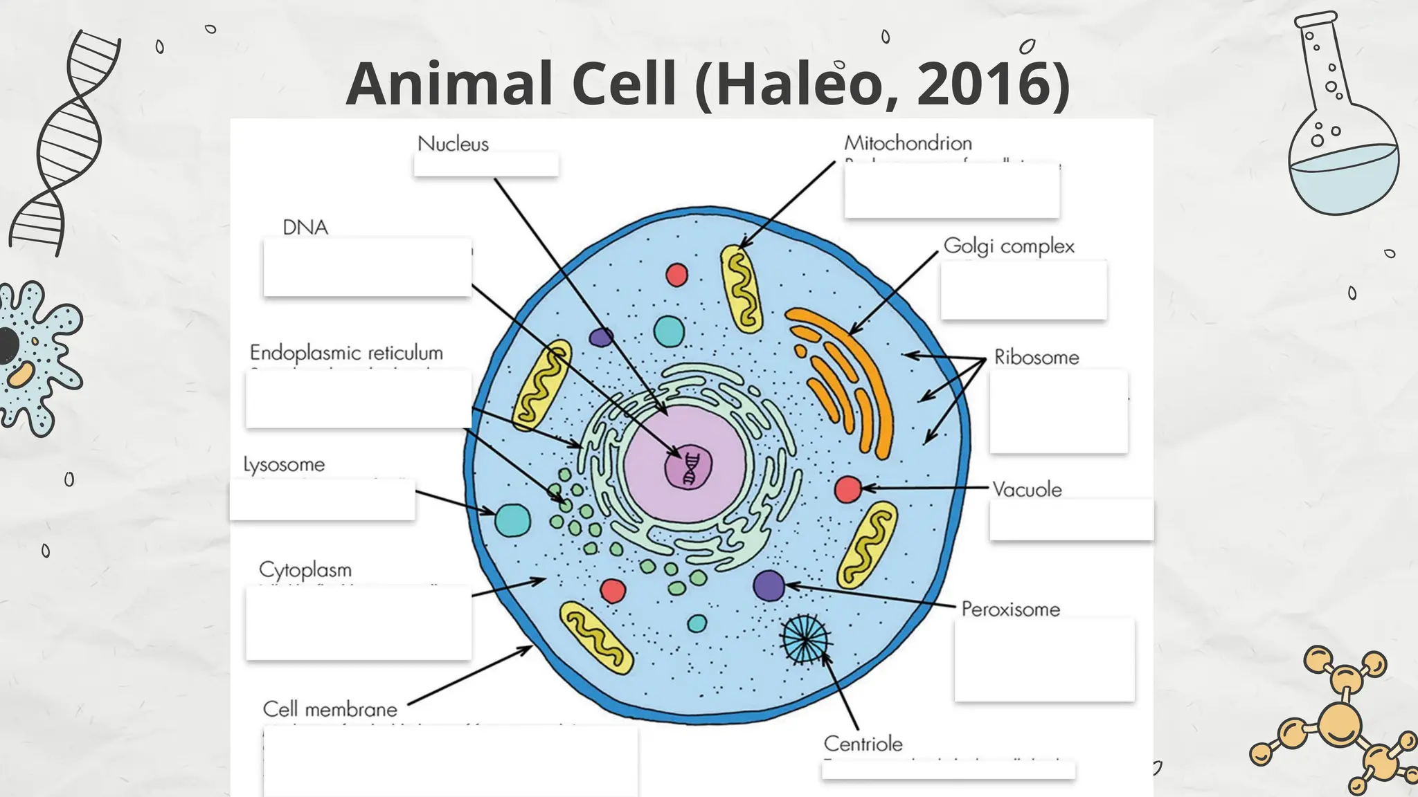 Life and Living- Cells. Grade 10, Term 1 | PPTX