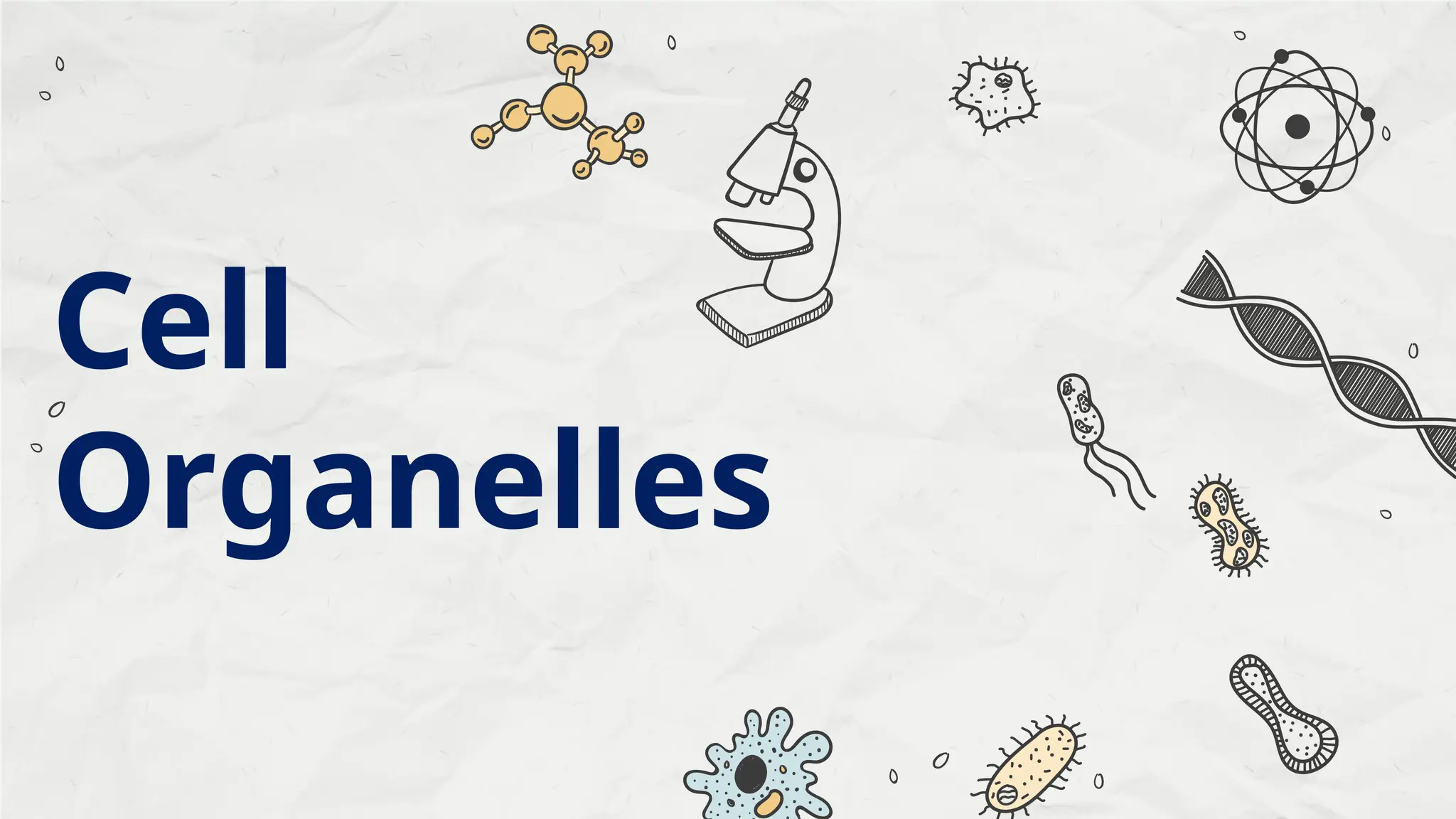 Life and Living- Cells. Grade 10, Term 1 | PPTX