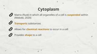 Life and Living- Cells. Grade 10, Term 1 | PPTX