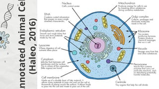 Life and Living- Cells. Grade 10, Term 1 | PPTX