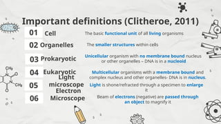 Life and Living- Cells. Grade 10, Term 1 | PPTX