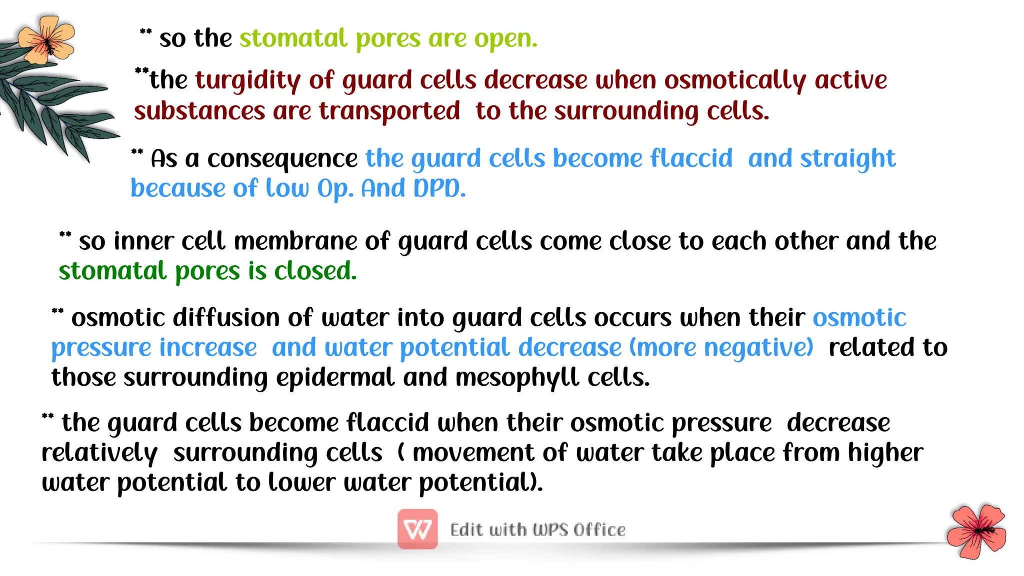 transpiration_:- stomatal transpiration and opening and closing ...