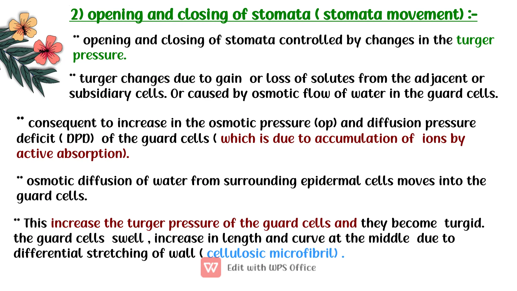 transpiration_:- stomatal transpiration and opening and closing ...