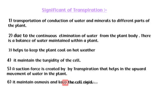 transpiration_:- stomatal transpiration and opening and closing ...