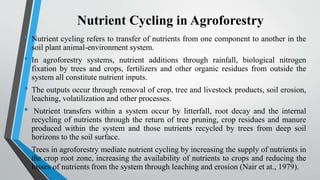 NUTRIENT_CYCLING_IN_AGROFORESTRY-1.pptx