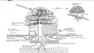NUTRIENT_CYCLING_IN_AGROFORESTRY-1.pptx