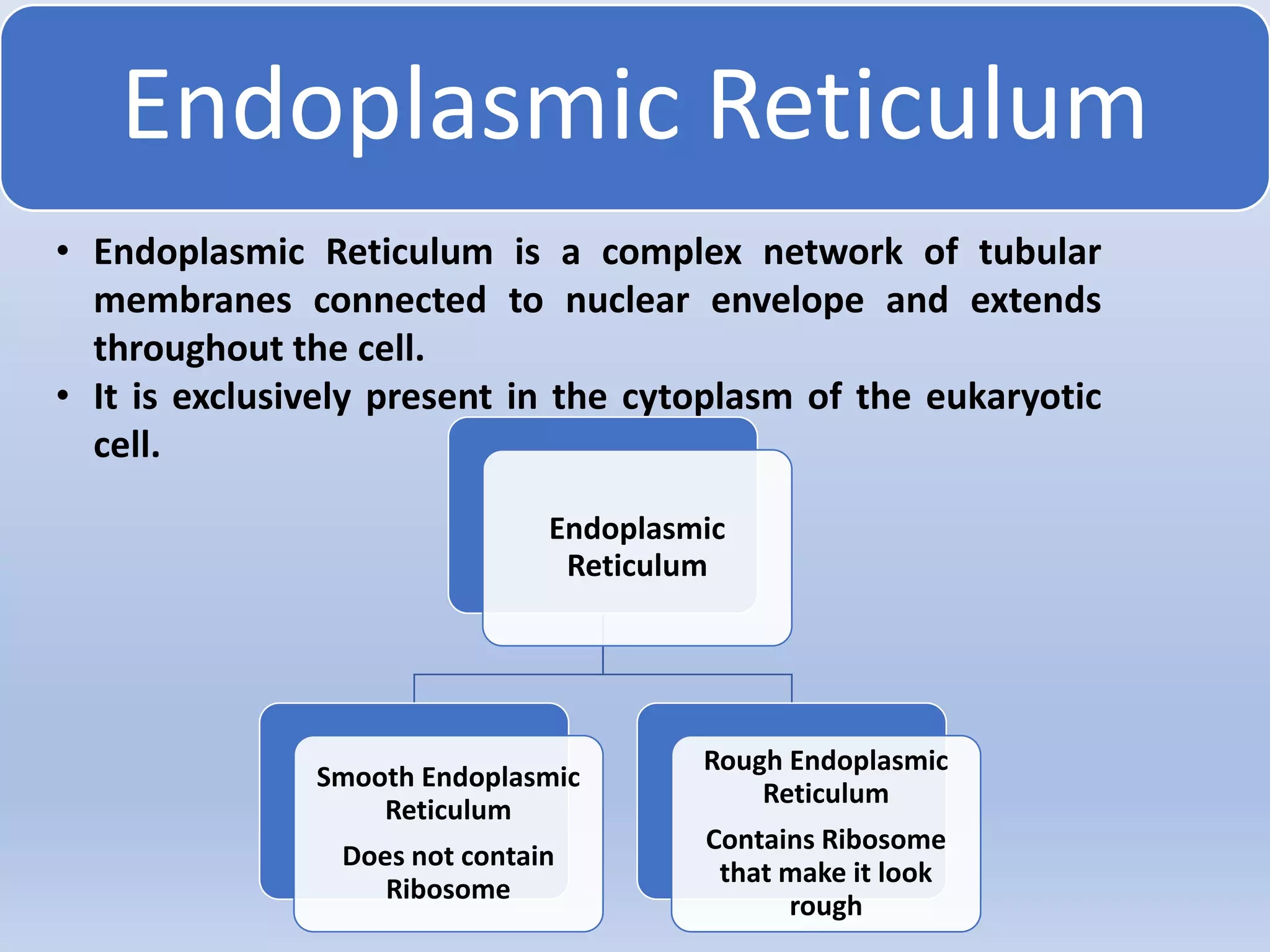 Endomembrane system | PPTX