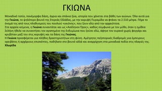 ανδρέας βασίλης Ta 10 μεγαλυτερα βουνα της ελλαδας | PPTX