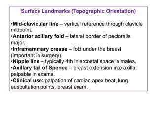 Pectoral Region & Breast and anatomy of upper limb | PDF