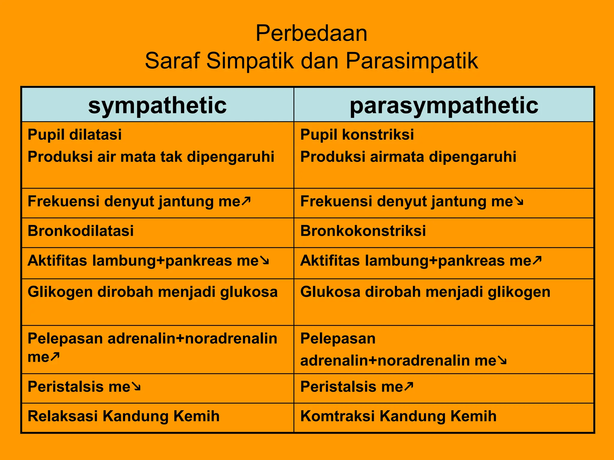 348616207-Kuliah-Anatomi-Fisiologi-Sistem-Saraf-ppt.ppt