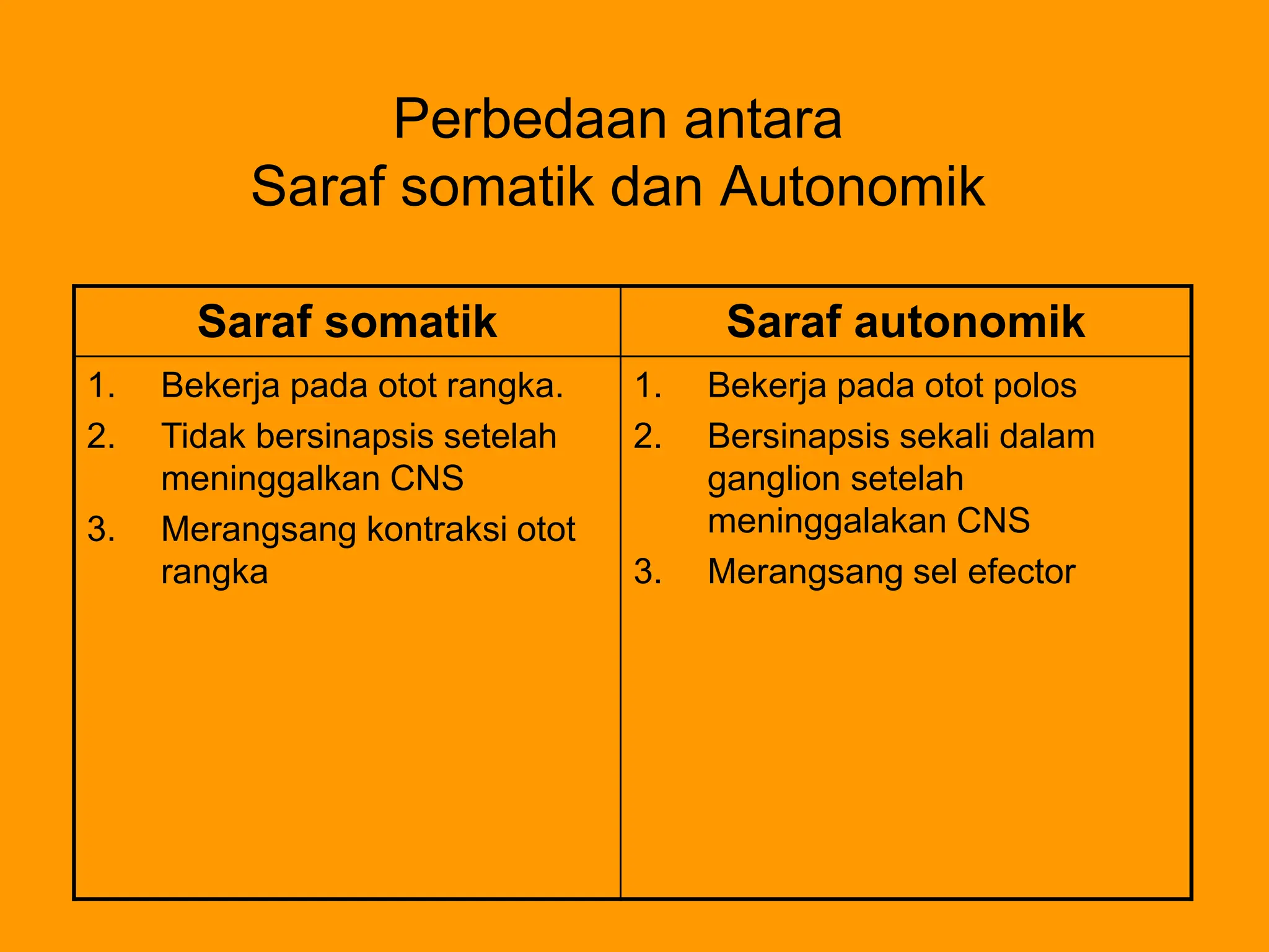 348616207-Kuliah-Anatomi-Fisiologi-Sistem-Saraf-ppt.ppt