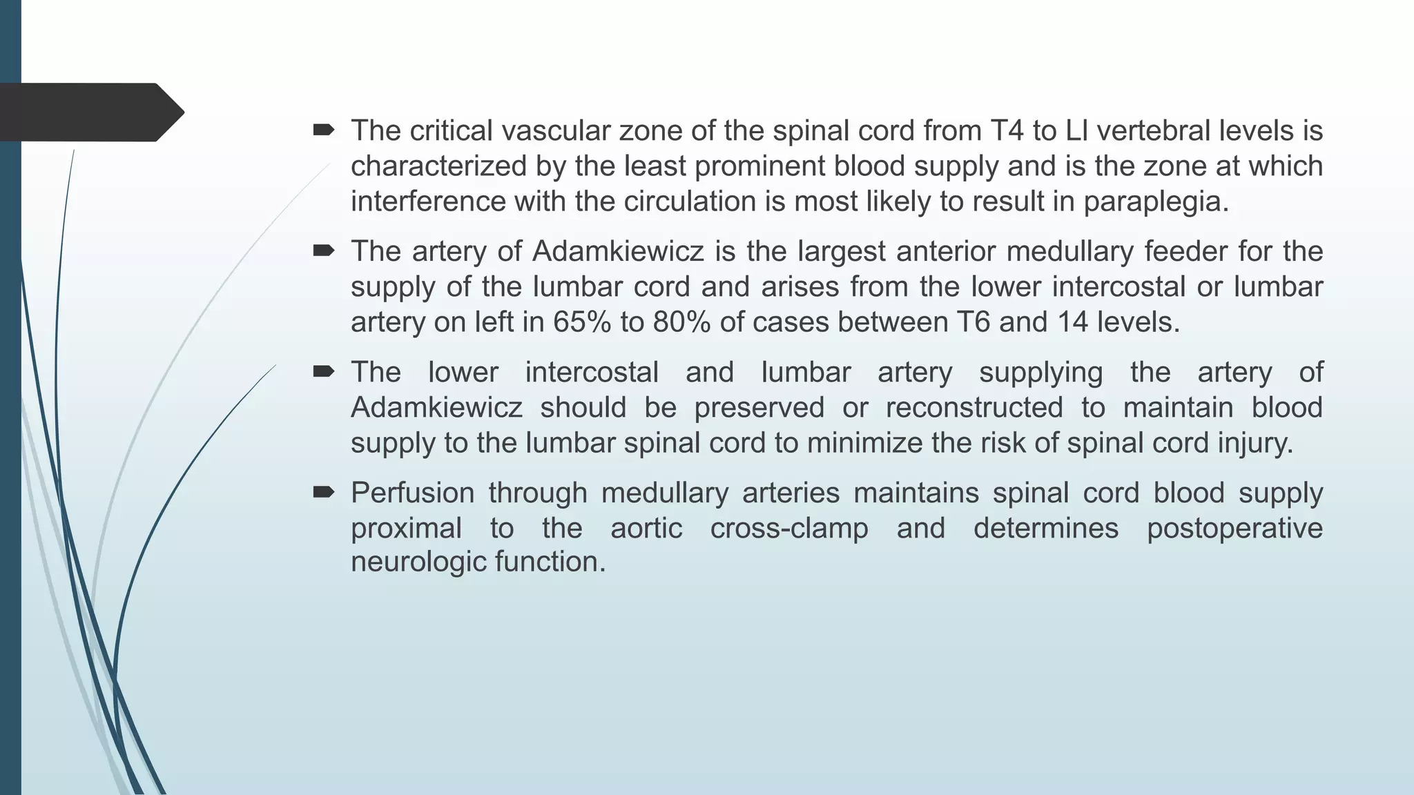 Thoraco abdominal aortic aneurysm(TAAA) management | PPTX | Death ...