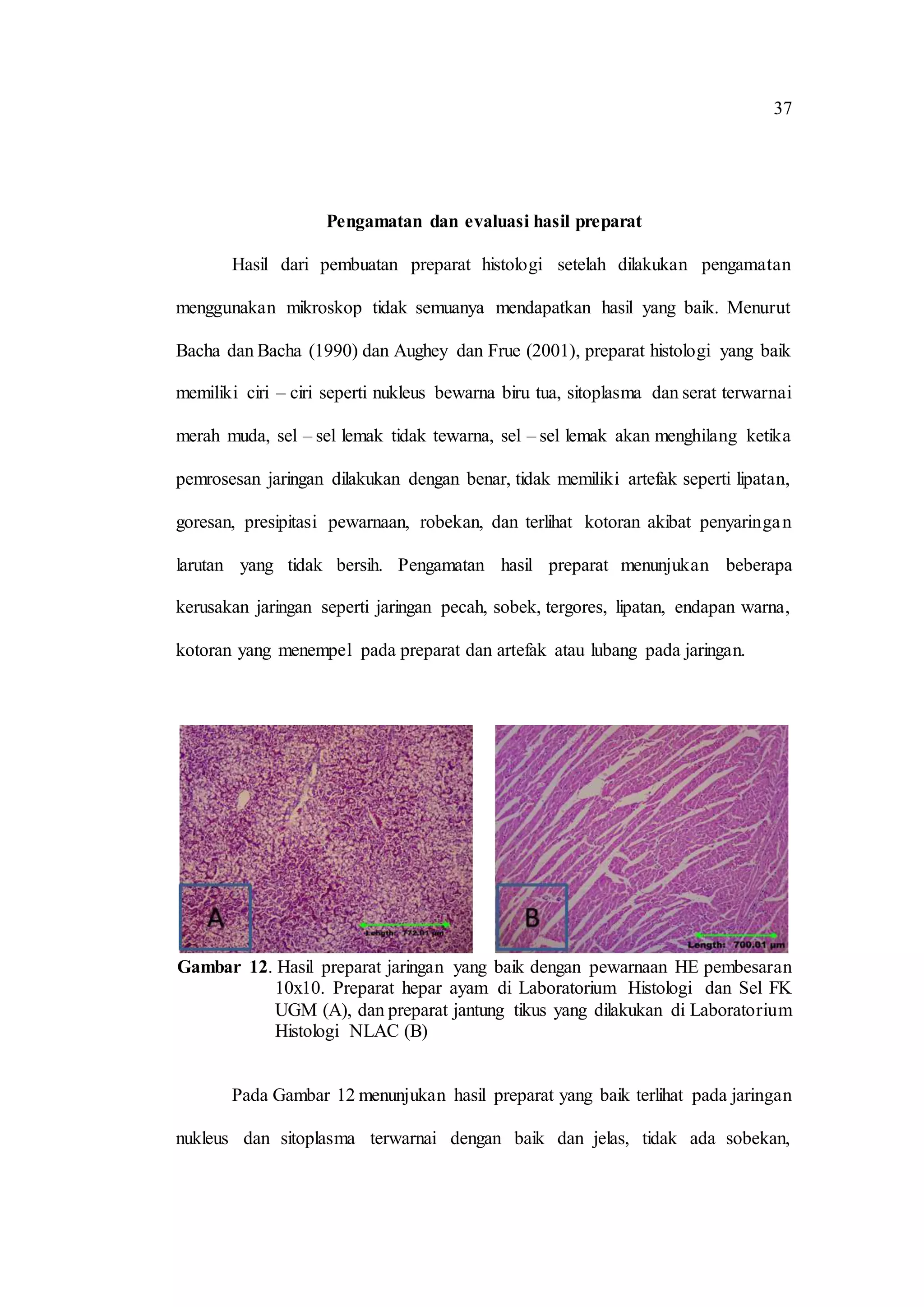 Teknik pembuatan preparat histologi dengan pewarnaan hematoksilin eosin ...