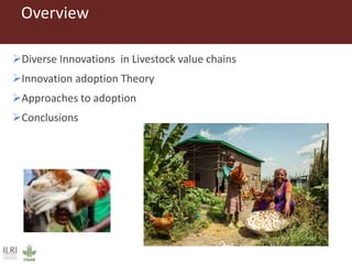 Perspectives on innovation adoption (Poultry) | PPT