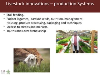 Perspectives on innovation adoption (Small ruminant) | PPTX
