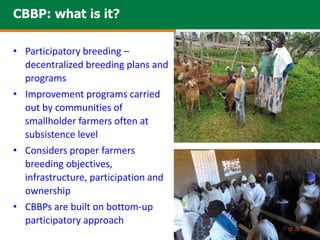 Community-based small ruminant breeding programs—Attractive option in ...