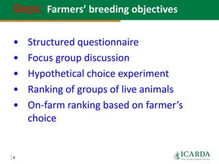 Community-based small ruminant breeding programs—Attractive option in ...