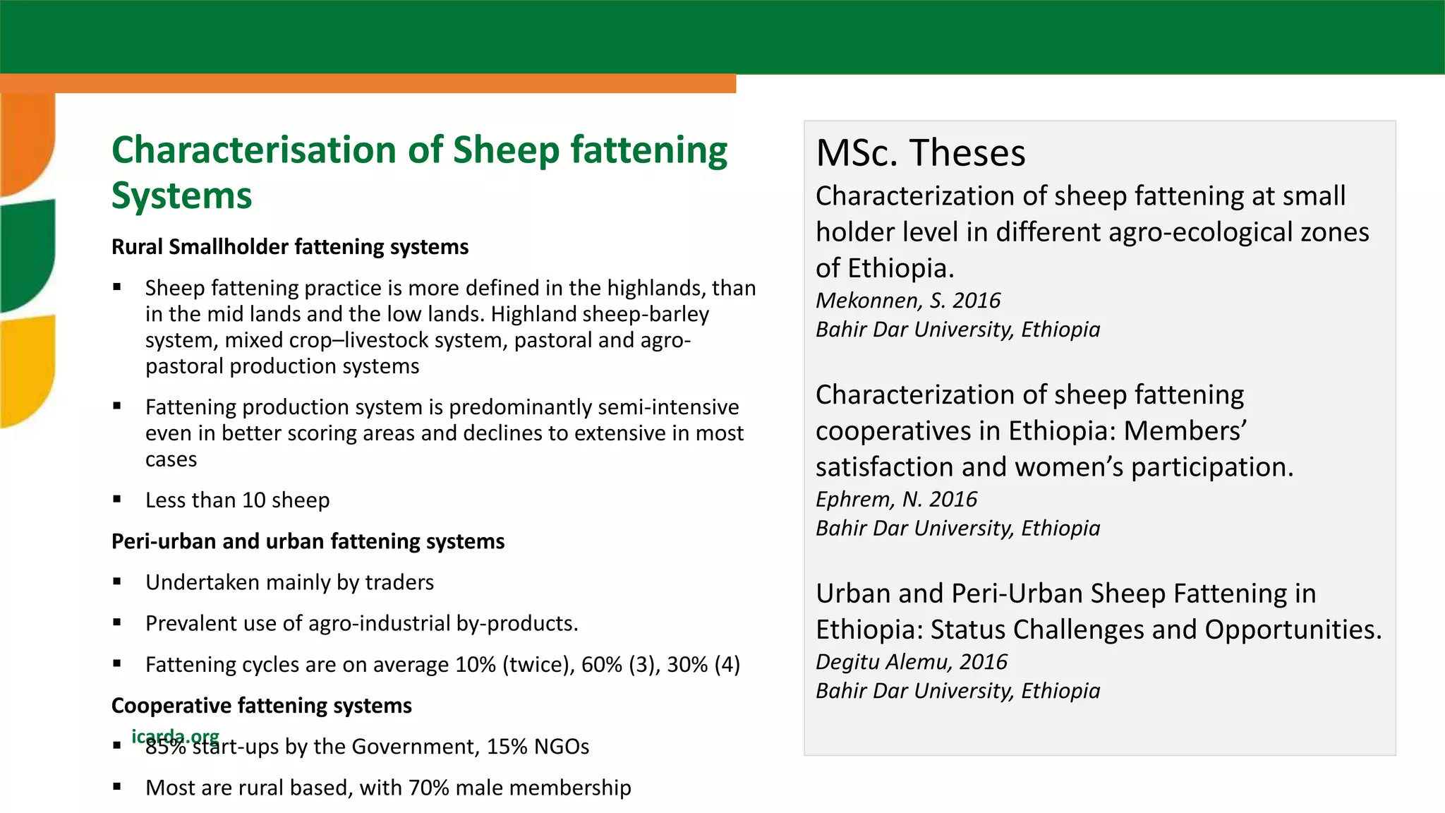 Sheep fattening: The case of Ethiopia | PPTX