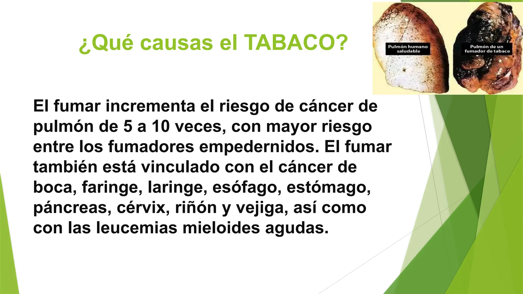 TABACO Y SUS CONCECUENCIAS EN LA SALUD HUMANA | PPTX