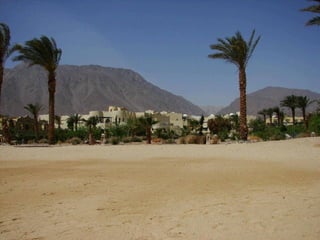 Taba Heights - Egypt | PPS