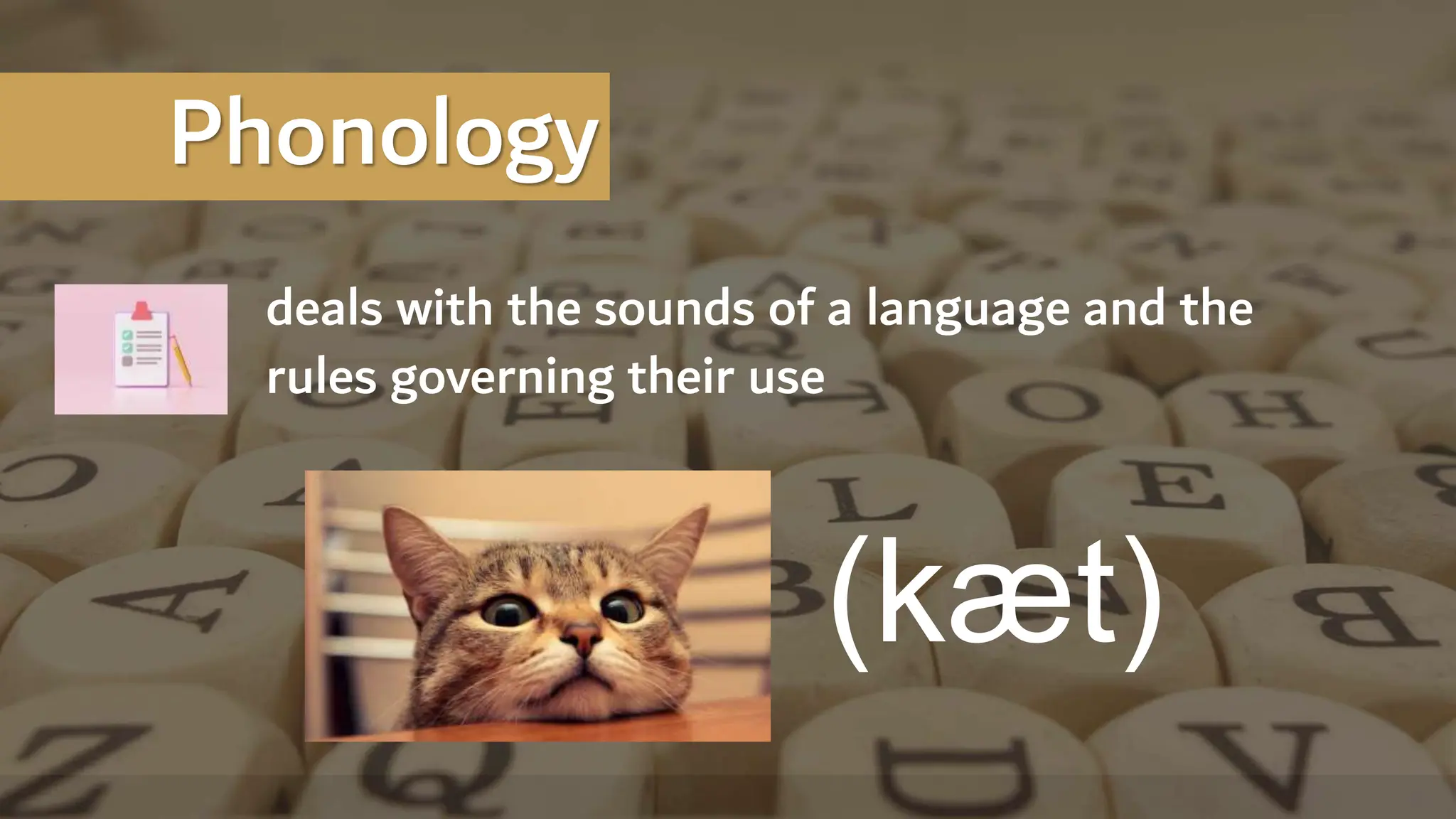 Linguistics - Introduction to Linguistics | PDF