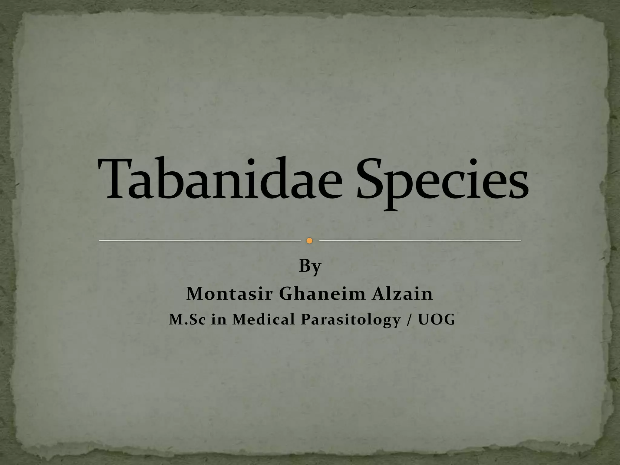 Tabanidae species - tabanus | PPTX