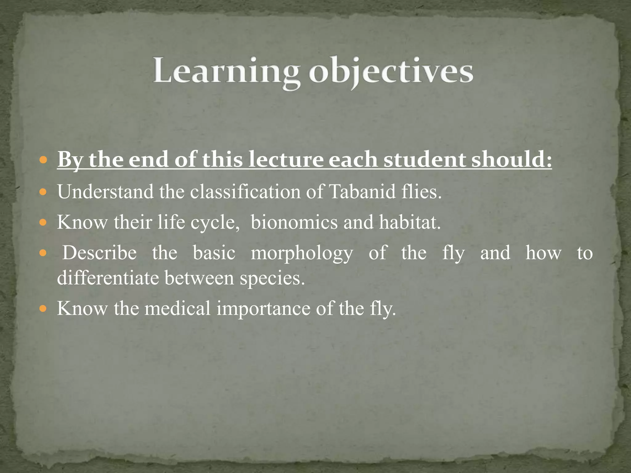 Tabanidae species - tabanus | PPTX