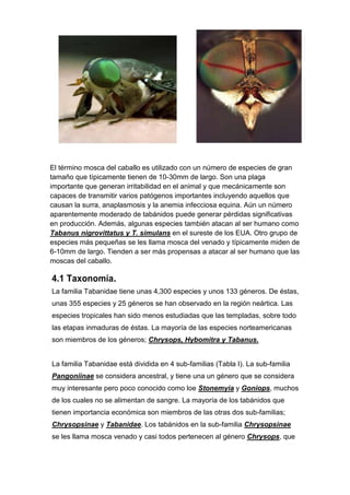 tabano | PDF
