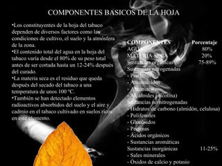 El humo del tabaco | PPT