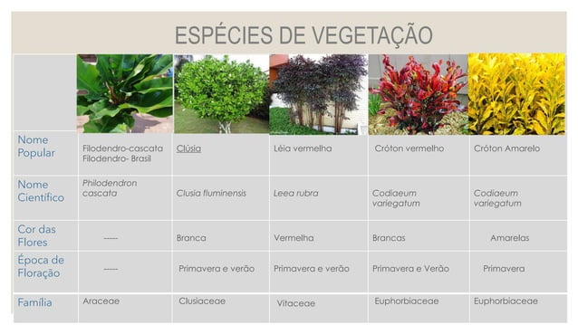 Tabela botânica.pdf