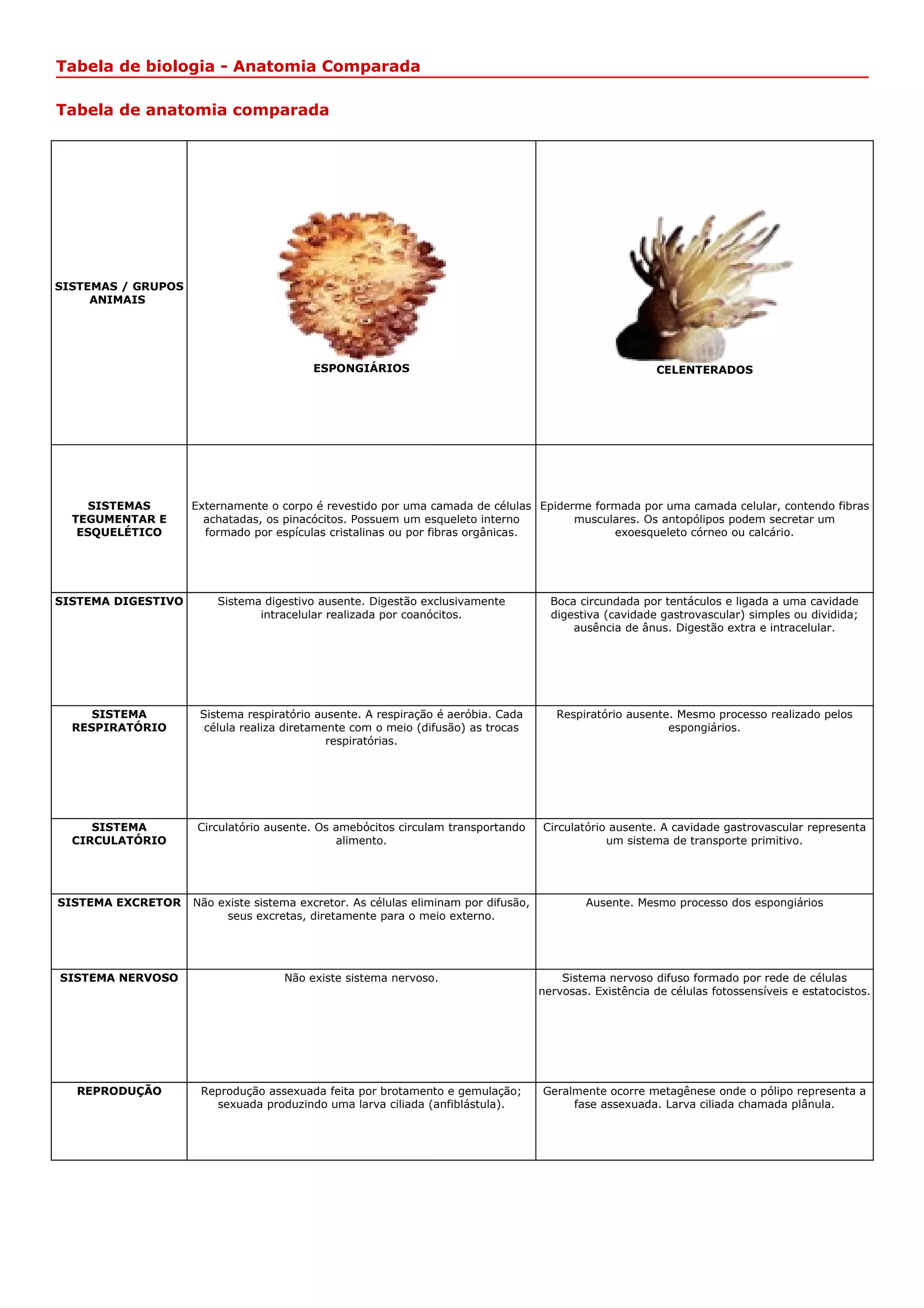Tabela comparativa reino animal | DOC