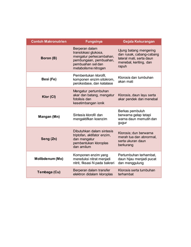 Tabel makronutrien dan mikronutrien pada tumbuhan | DOCX