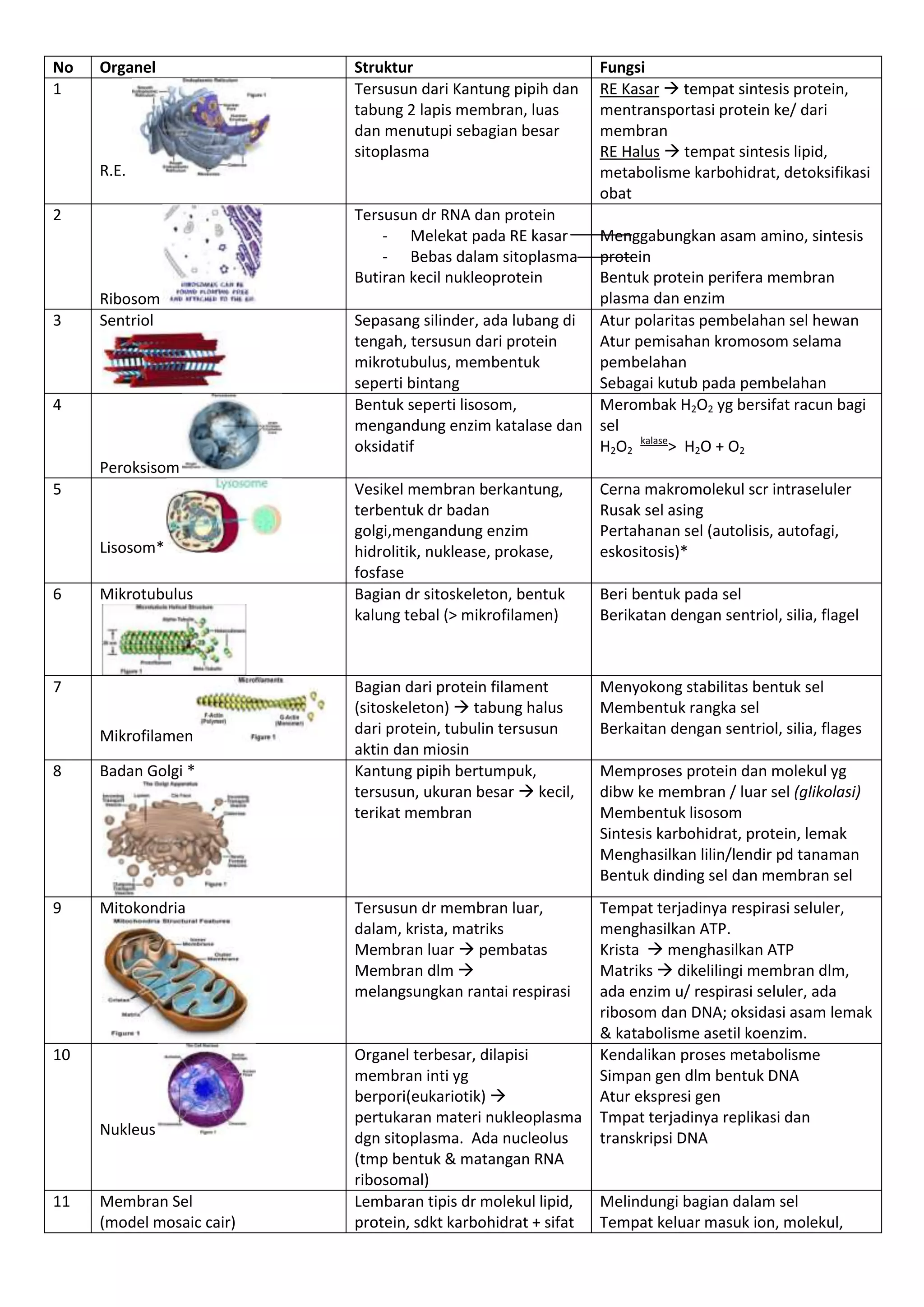 Tabel organel sel 2003 | DOCX