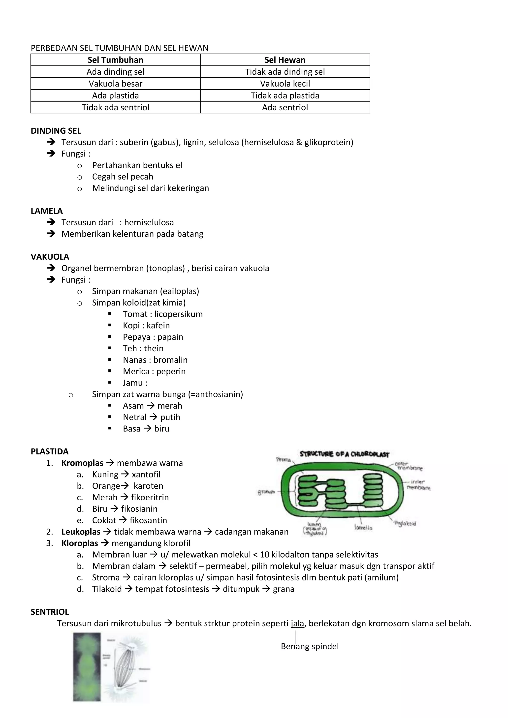 Tabel organel sel 2003 | DOCX