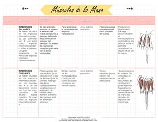 tabla-de-musculos-mi-152004-downloadable-8273053.pdf