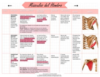 tabla-de-musculos-mi-152004-downloadable-8273053.pdf