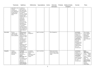 Tabla comparativa Sistema Reproductor Masculino | DOCX
