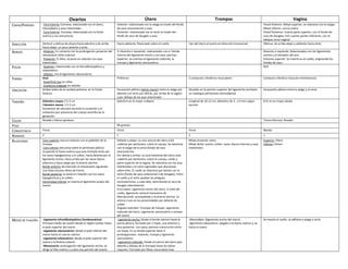 Tabla comparativa Sistema Reproductor Femenino | DOCX
