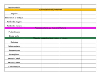 Tabla de musculos.pdf