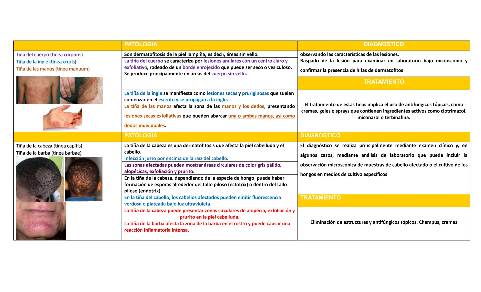 TABLA HONGOS Y PARASITOS RESUMEN MICROBIOLOGIA MEDICINA | DOCX