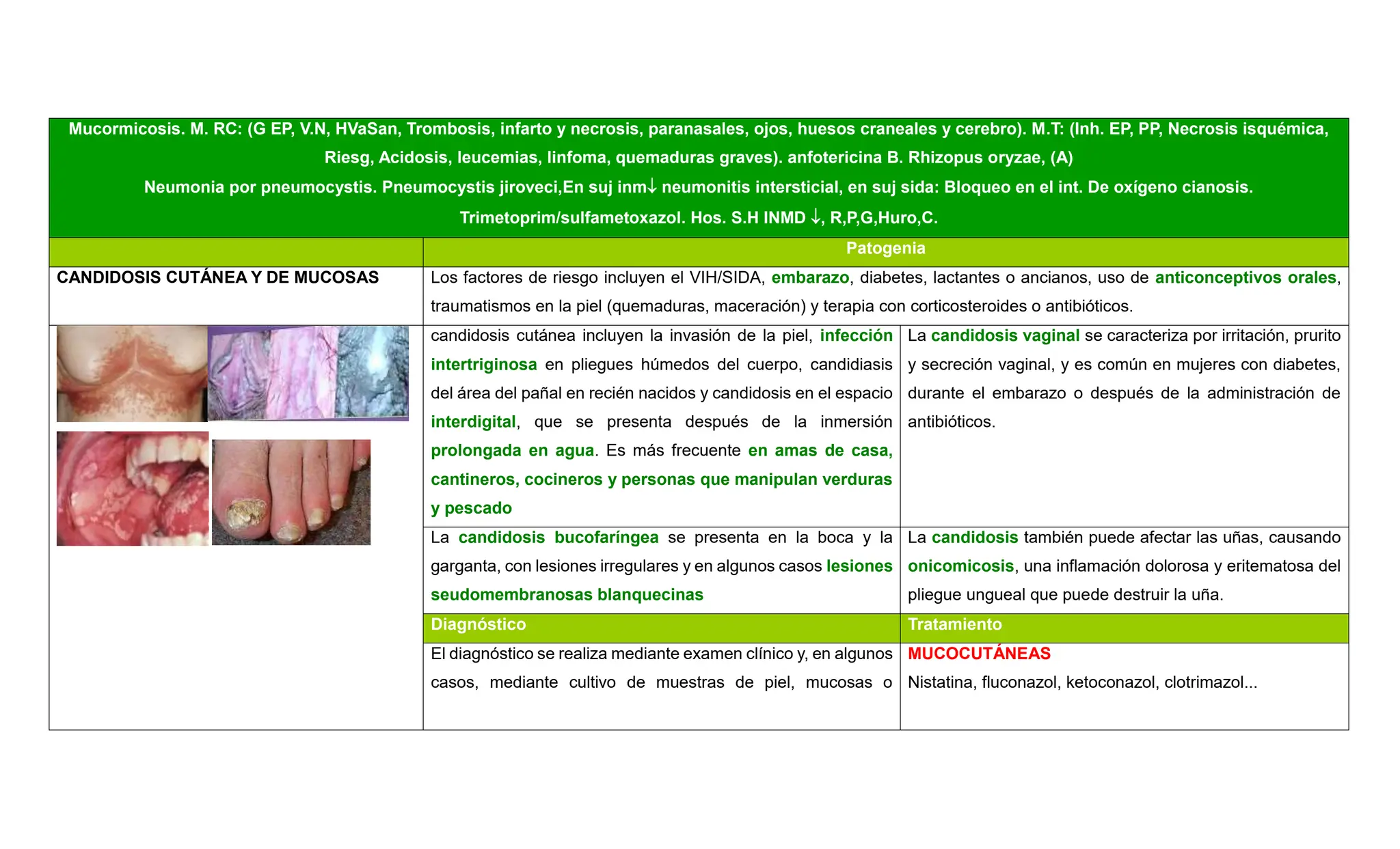 TABLA HONGOS Y PARASITOS RESUMEN MICROBIOLOGIA MEDICINA | DOCX