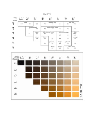 Tabla munsell digital | PDF