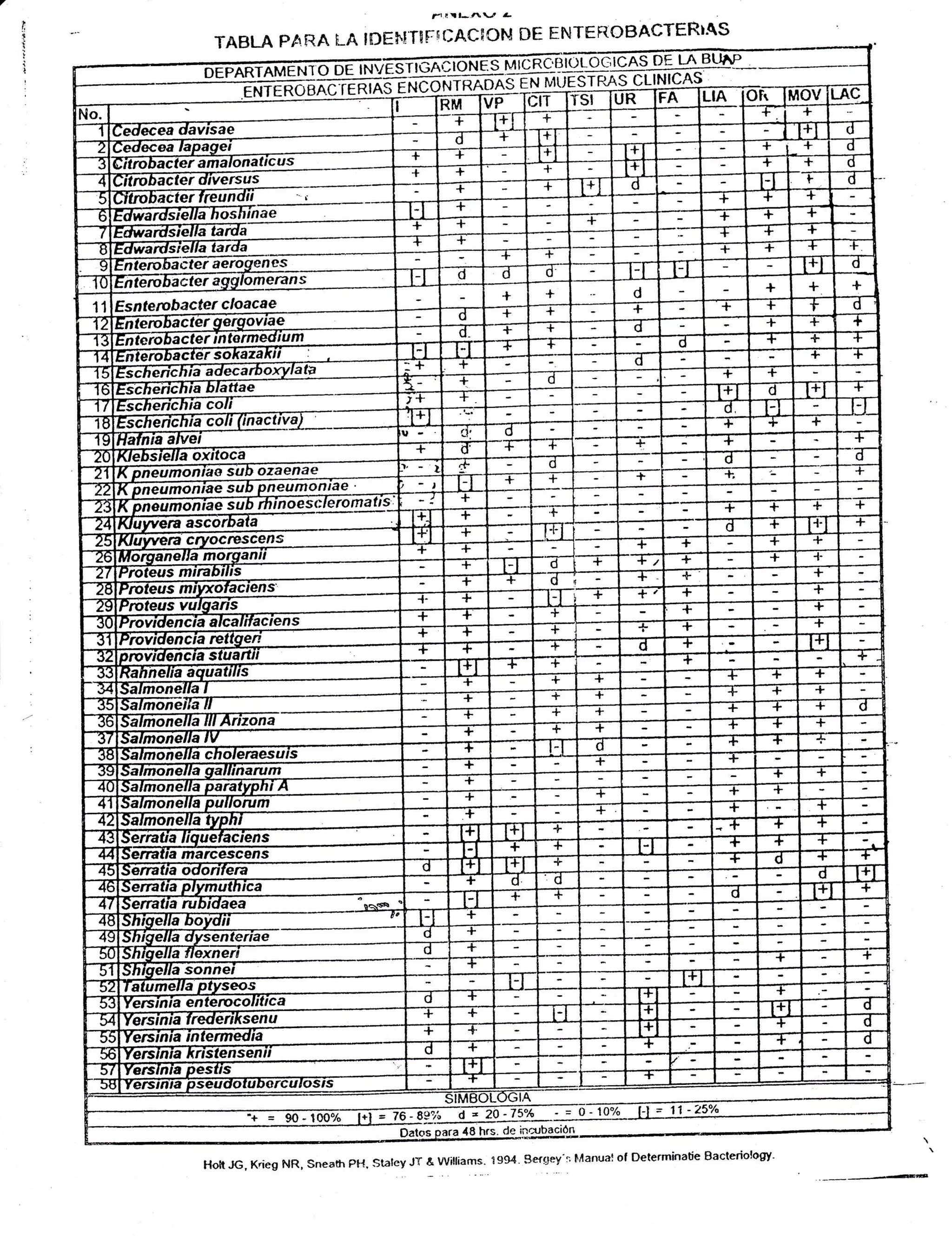 Tabla para identificación de enterobacterias | PDF