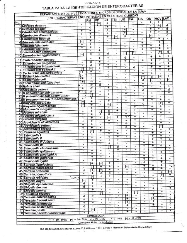Tabla para identificación de enterobacterias | PDF