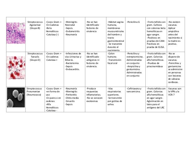 Tablas de microbiologia