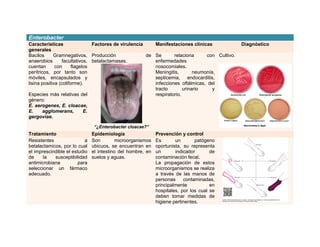 Tablas de Bacteriología | PDF