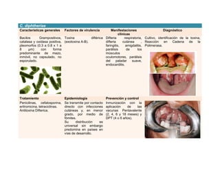 Tablas de Bacteriología | PDF