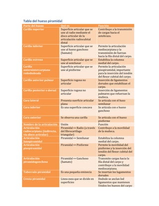 TABLAS DE VIRI del sistema oseo del se humano.pdf