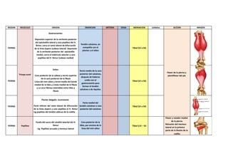 TABLAS MUSCULOS Y PLEXOS.pdf ANATOMÍA MEDICINA | PDF