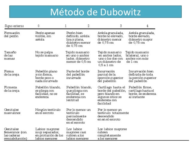 ESCALA DE DUBOWITZ PDF